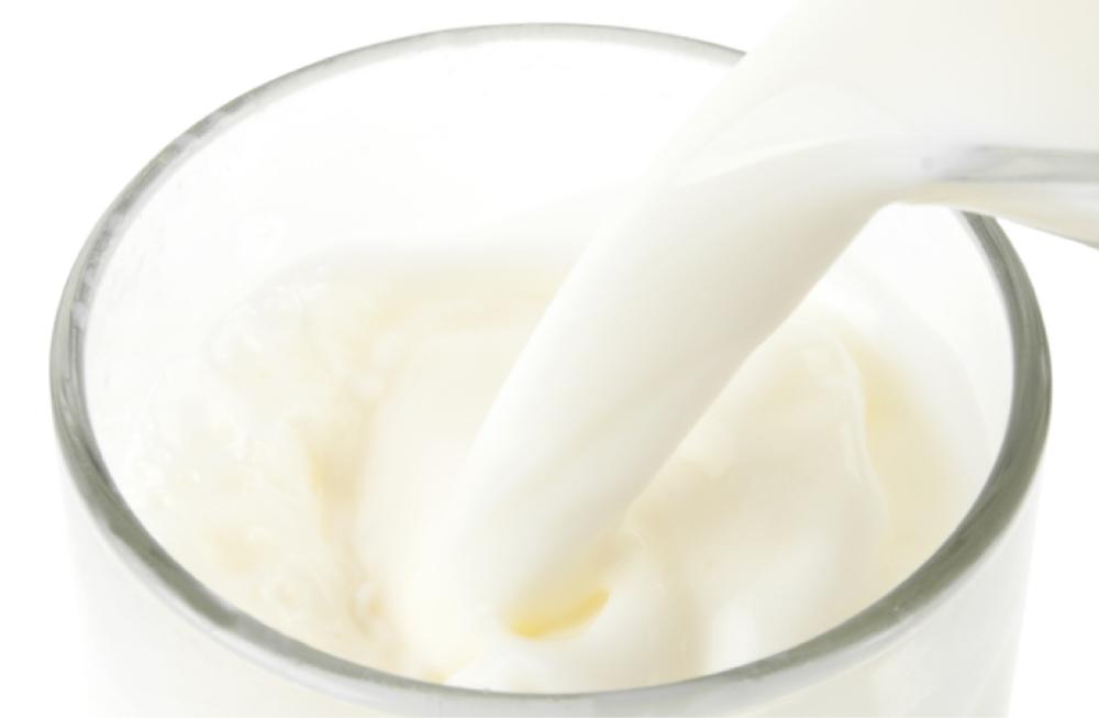 Casein Phosphopeptides Products | ActiCPP® (CPP)